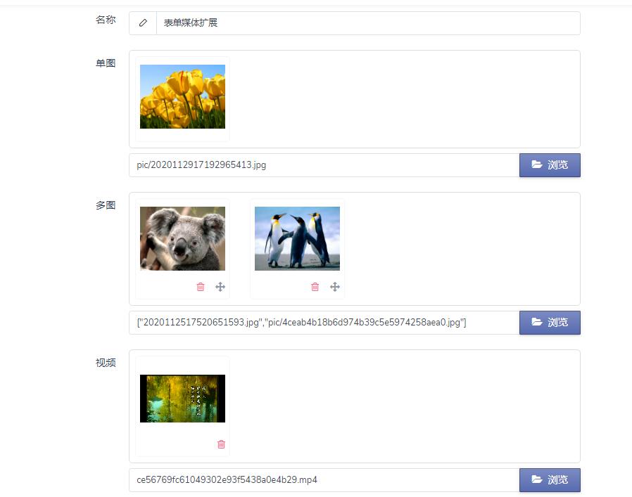 GitHub Mikha dev dcat form media