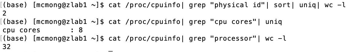 The training process is frozen when implement MultiThreadedAugmenter · Issue #145 · MIC-DKFZ ...