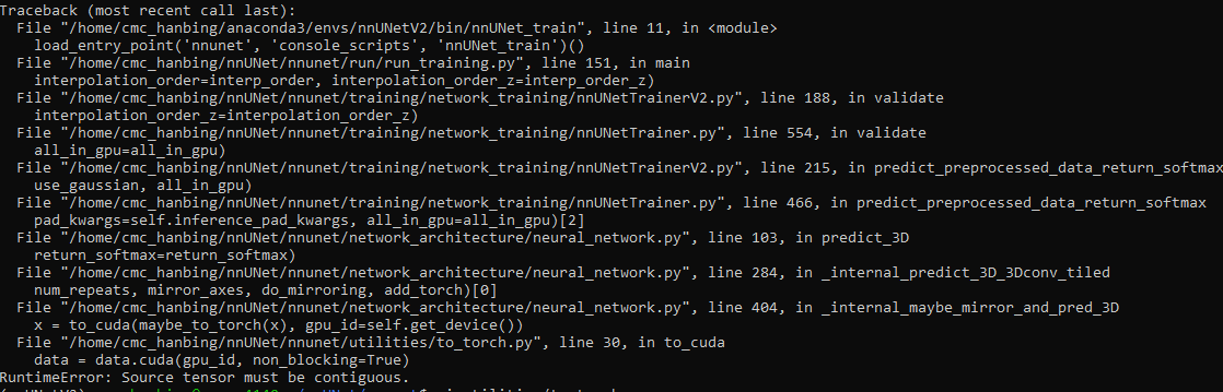 predict_simple.py:RuntimeError: Source tensor must be contiguous ...