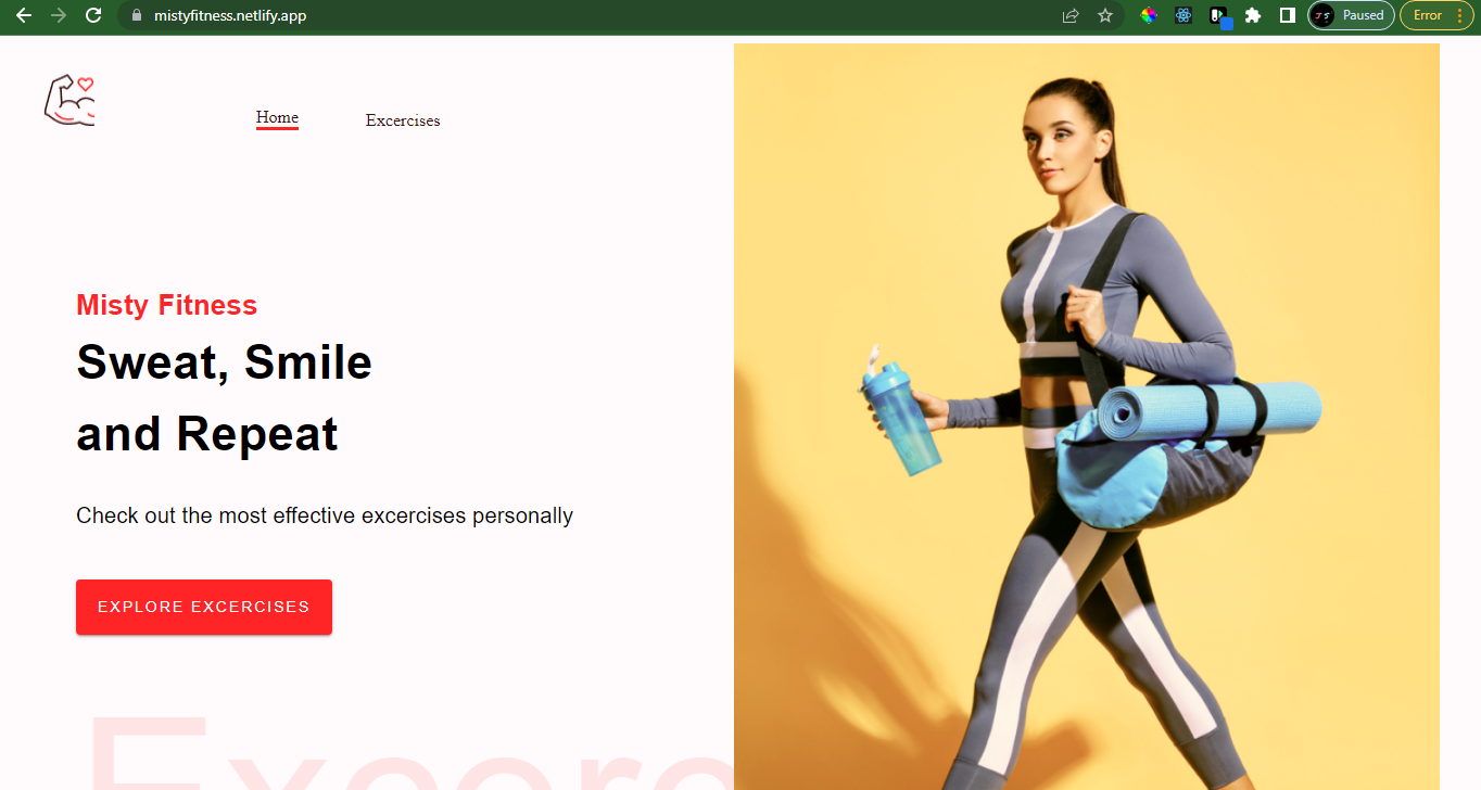 GitHub - JustZion/Mistyfitness