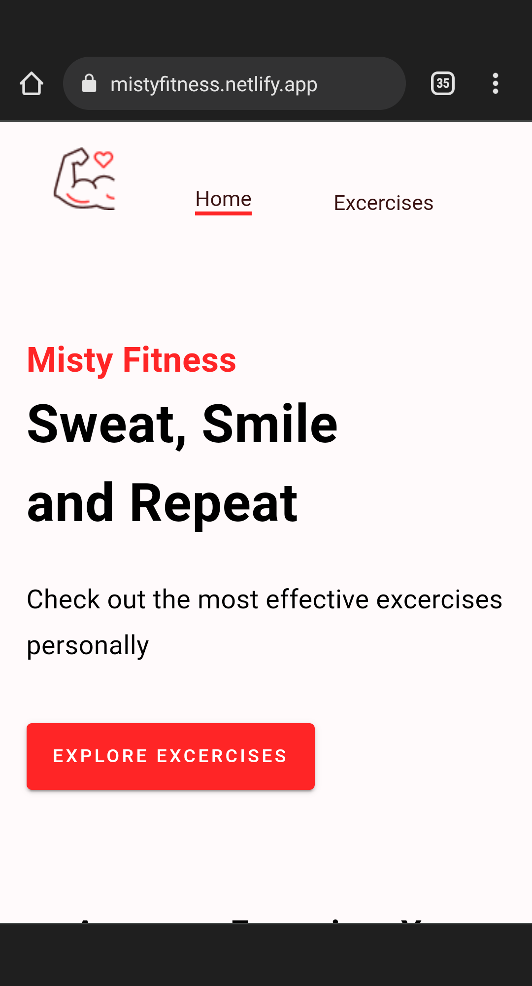 GitHub - JustZion/Mistyfitness