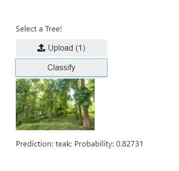 GitHub - kurianbenoy/Tree-Classifier