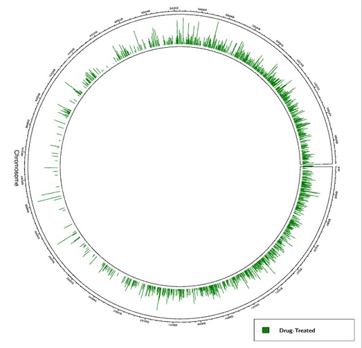 What does circos.genomicDensity function plot? · Issue #43 · jokergoo ...