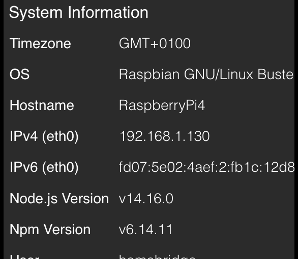 NPM version not listed correct in UI · Issue #1140 · homebridge ...