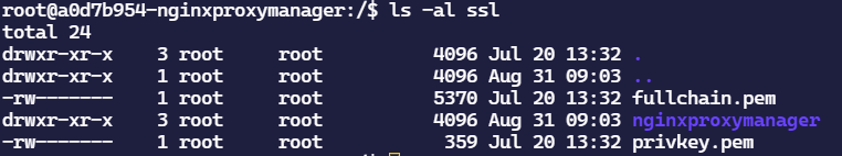 Hassio Ssl Volume Not Exposed To Etcletsencrypy · Issue 266 · Hassio Addonsaddon Nginx