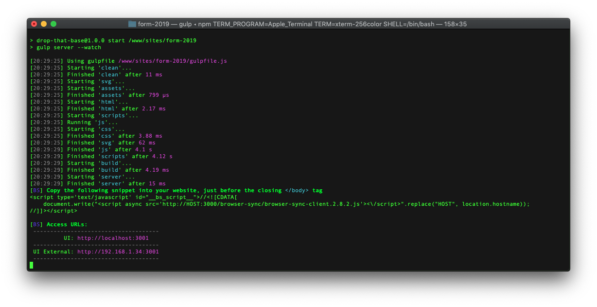 Missing Access URLs, prints out "Copy the following snippet into your website, just before the ...