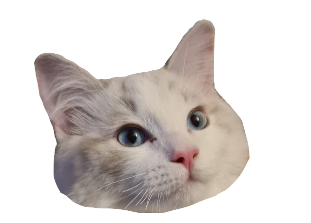 salkovskis (Raivo Šalkovskis) · GitHub