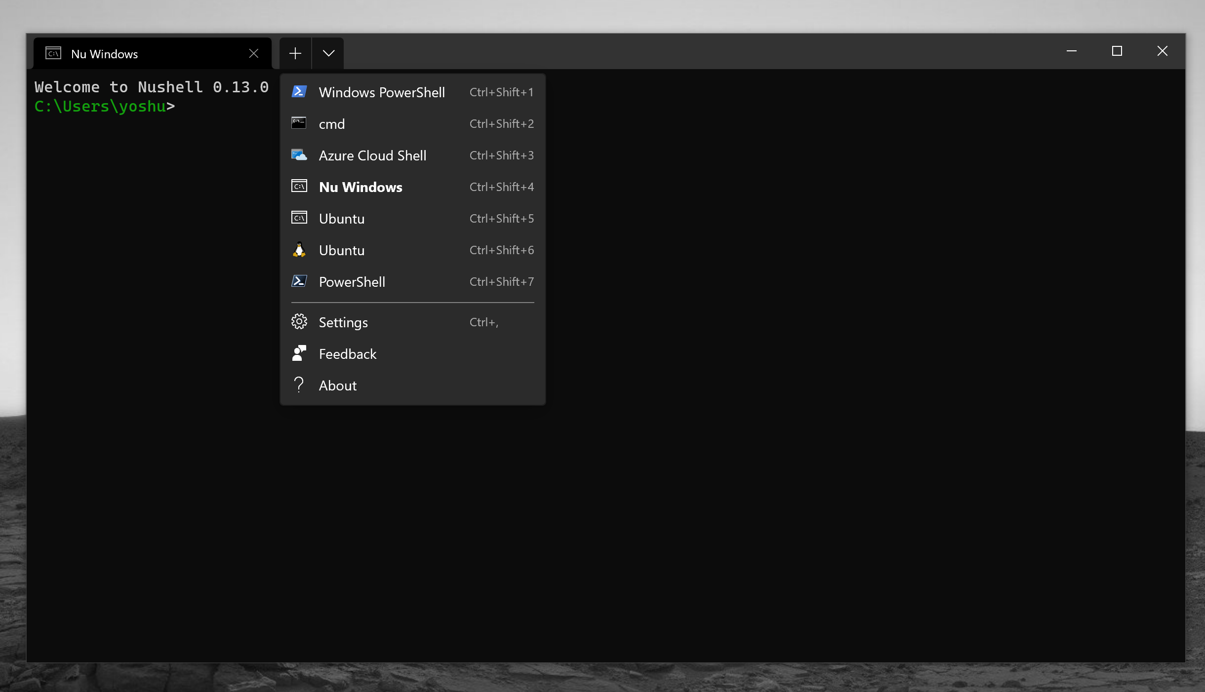 [feature] register a profile with Windows Terminal on installation · Issue #3994 · nushell ...