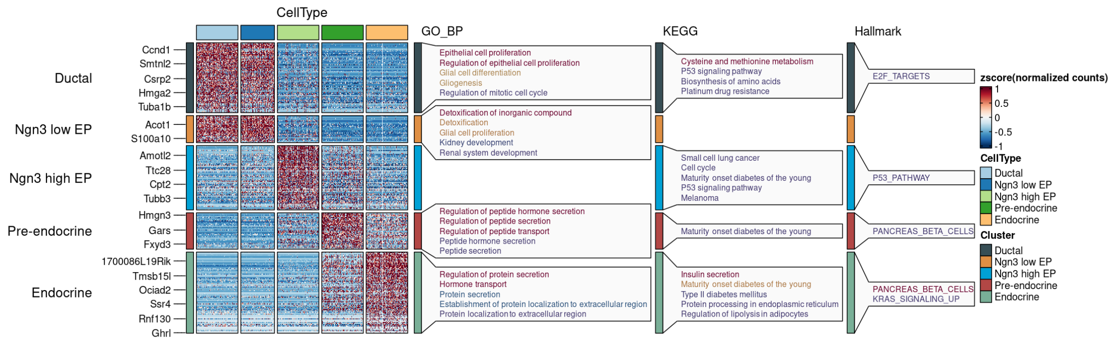 Question related with package · Issue #80 · zhanghao-njmu/SCP · GitHub