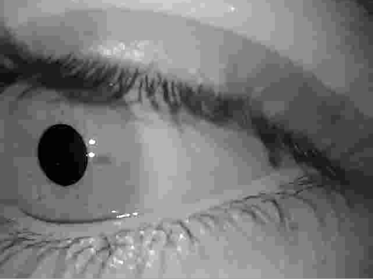 [Bug]Blurred image observed · Issue #795 · pupil-labs/pupil · GitHub