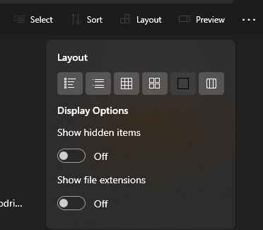Option to hide file names · Issue #5232 · files-community/Files · GitHub