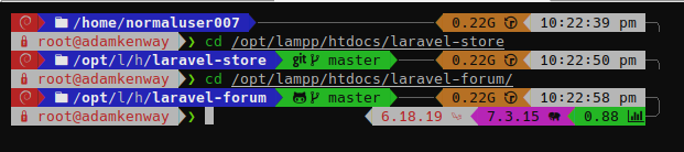 laravel_version prompt segment doesn't show up properly · Issue #847 · romkatv/powerlevel10k ...