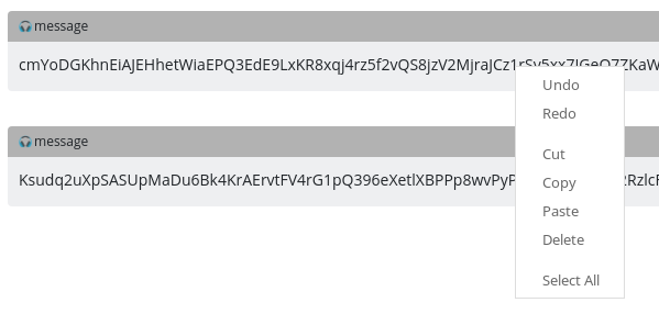 Messages In Websocket Cannot Be Copied Into Clipboard · Issue 57