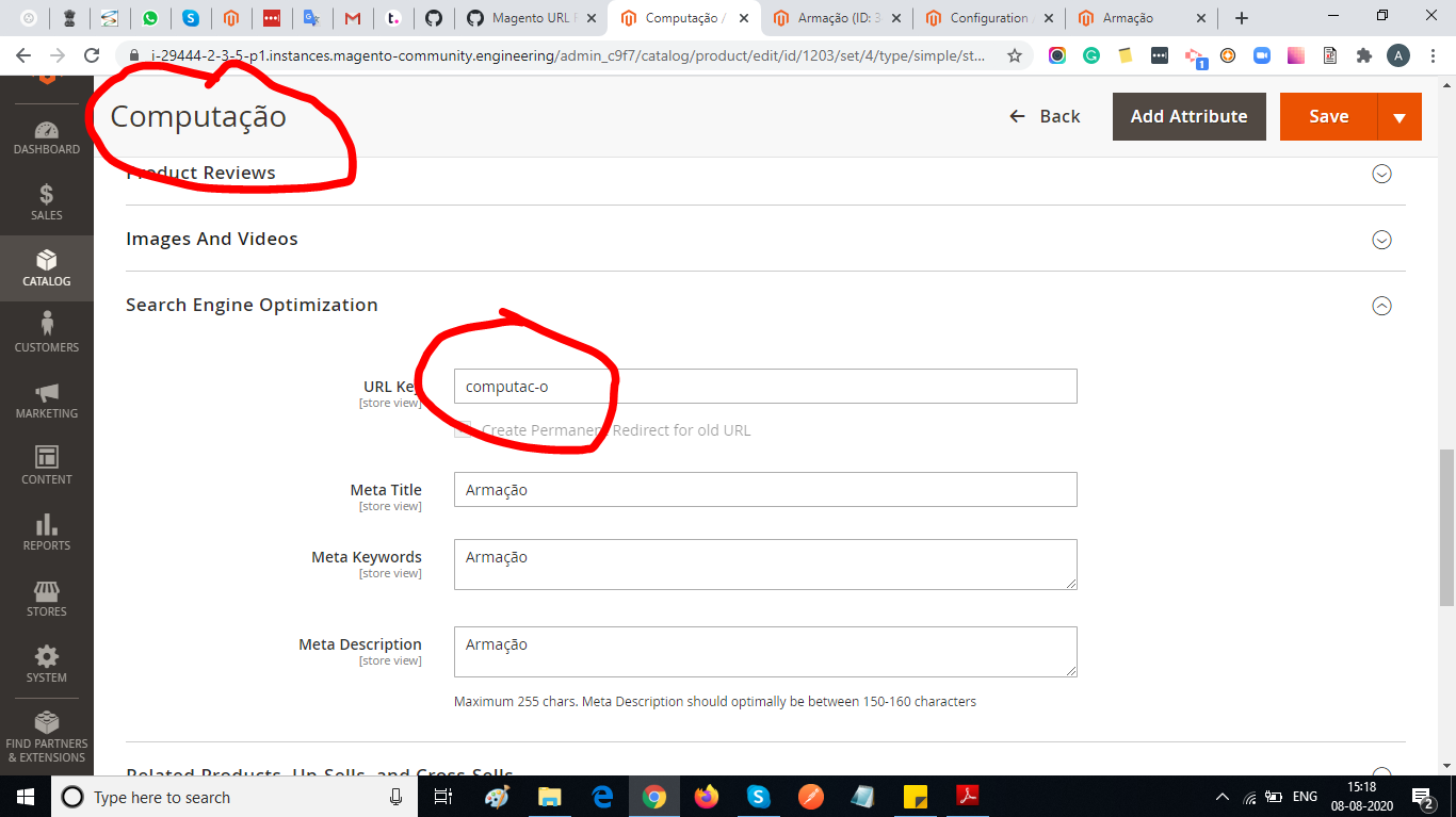 Magento Url Rewrites Not Support Some Characters Portuguese Brazil · Issue 29444 · Magento 