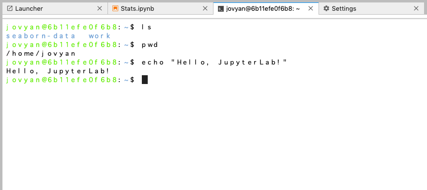 Broken Letter Space In Terminal On Jupyterlab · Issue 7410