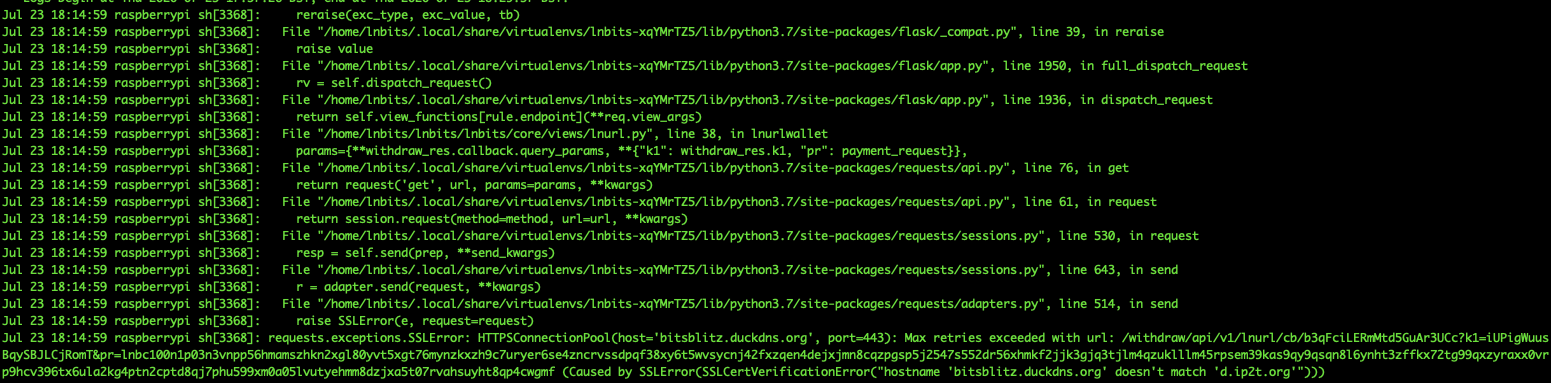 LNbits Voucher & TPOS · Issue #1348 · raspiblitz/raspiblitz · GitHub