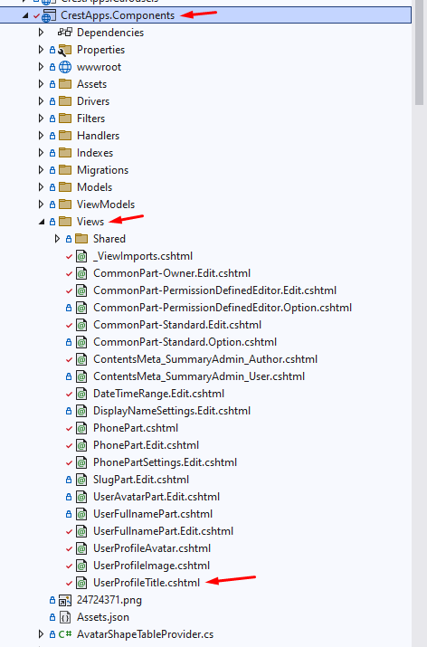 Unable To Find A Custom Shape In The A Module · Issue 14149 · Orchardcmsorchardcore · Github 