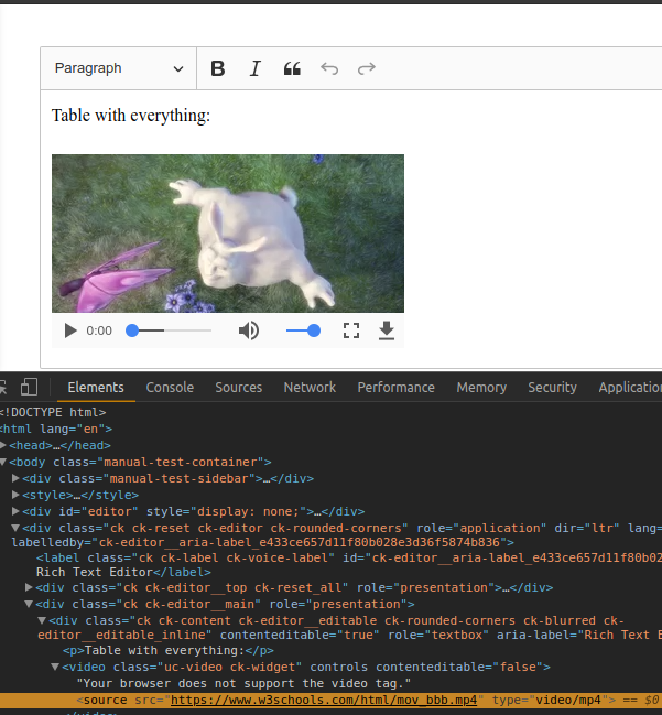 Problem in using multiple attributes and having text inside `video` tag ...