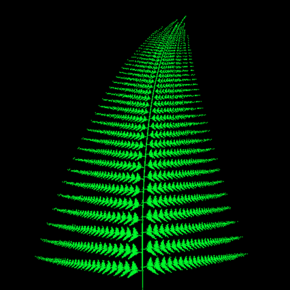 GitHub - gertler/FractalFern: A simple simulator to generate a fractal pattern resembling a leaf