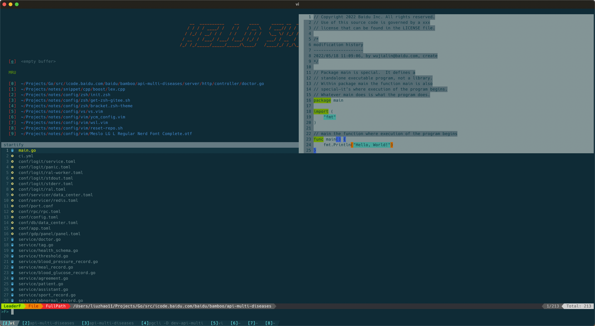 Error detected while processing function leaderf#Any#start[4]..leaderf#LfPy[1]..provider#python3 ...