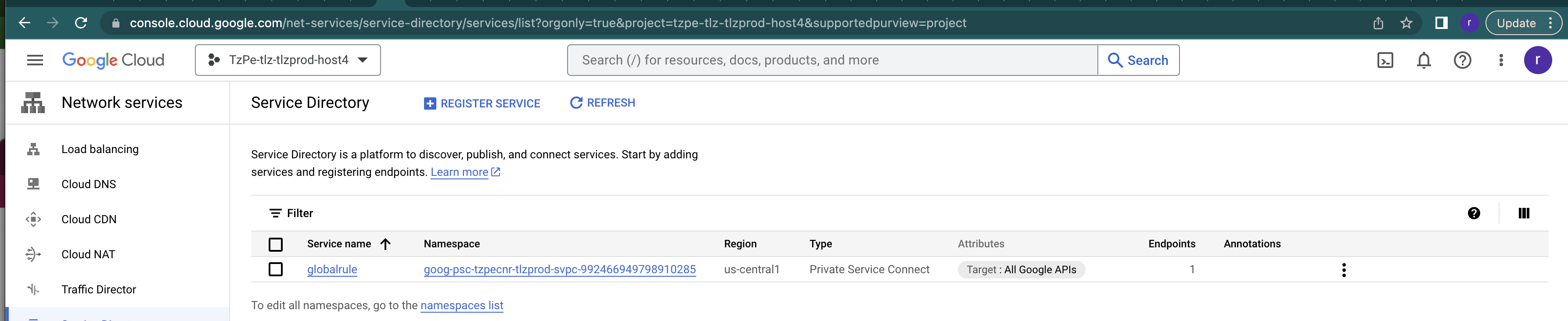 Ground to Cloud enablement through PSC (private service connect) or PGA ...