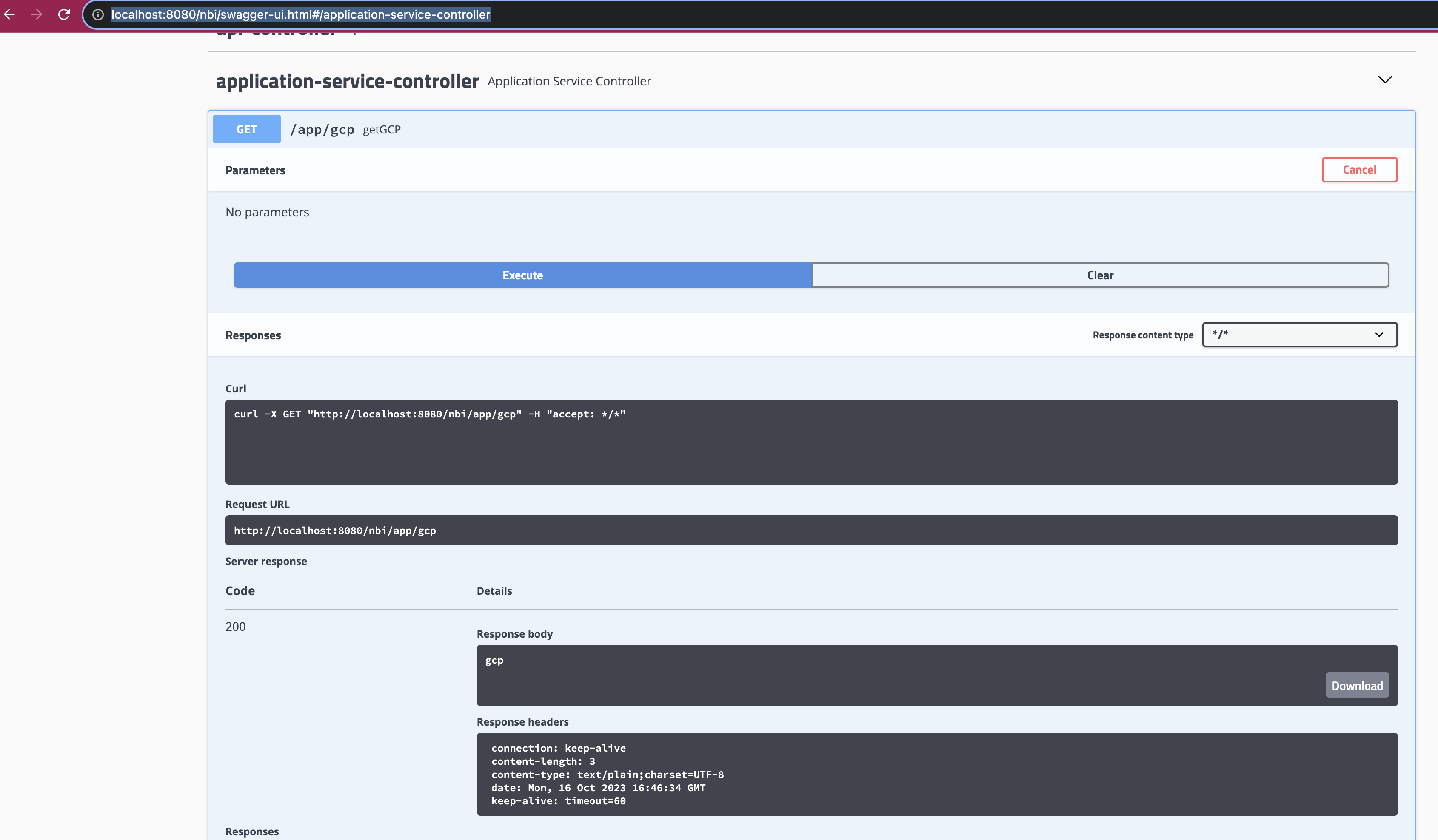 Developer Docs: Add local dev environment/authentication docs with googleapis.com example ...