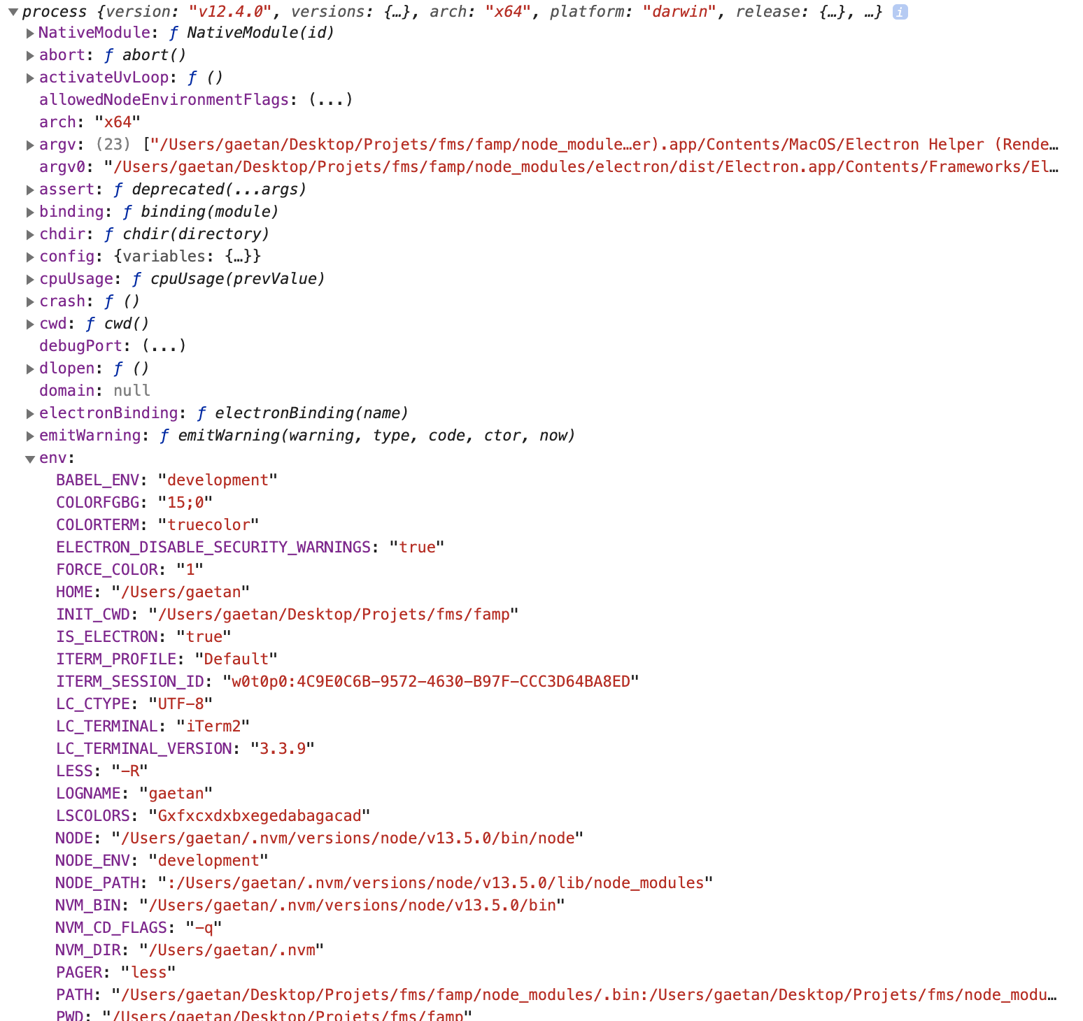 process.env truncated · Issue #764 · nklayman/vue-cli-plugin-electron-builder · GitHub