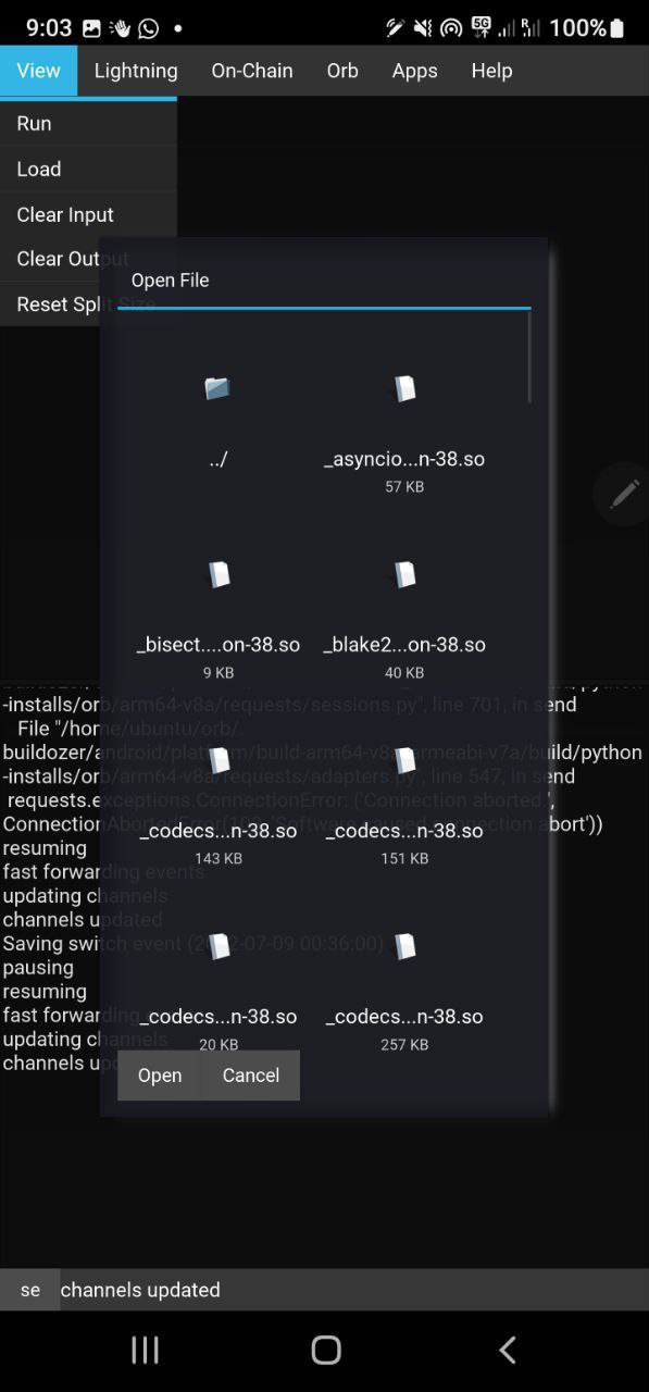 Failing to load _pytransform.so on Kivy (python-for-android / buildozer) android.aarch64 · Issue ...