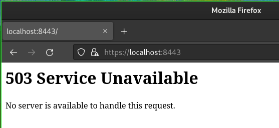Getting "503 Service Unavailable" from router · Issue #523 · deepfence/ThreatMapper · GitHub