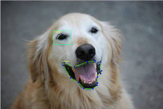 "New Bounding box" tool writes segmentation polygons in incorrect ...