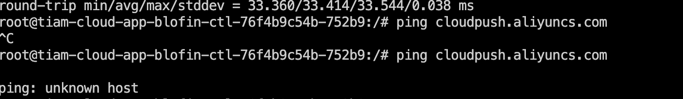 BUG: dns unkown name · Issue #1717 · labring/sealos · GitHub