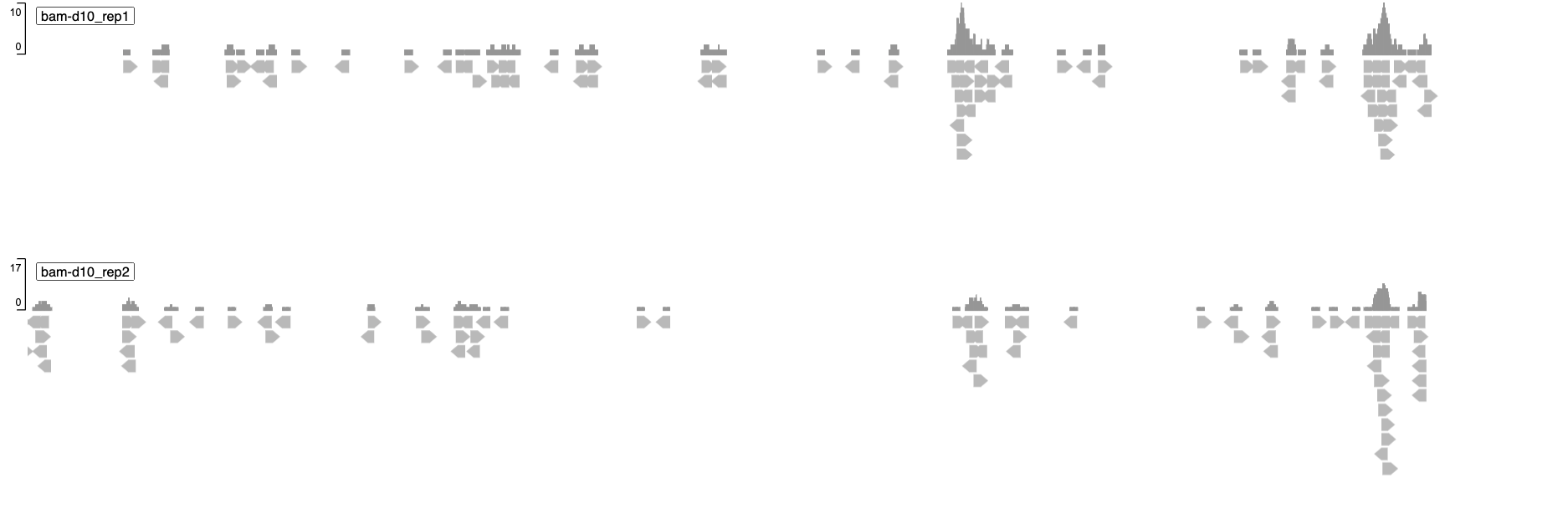 alignment track: autoscale true or false possible? · Issue #984 · igvteam/igv.js · GitHub