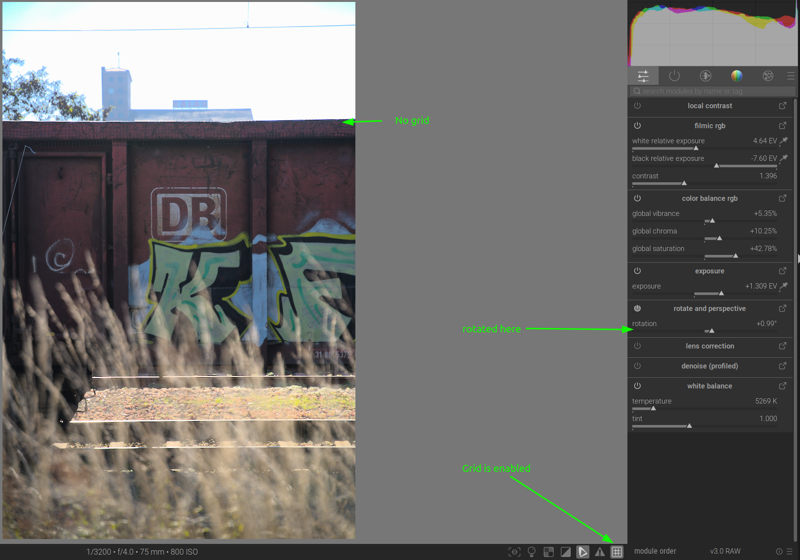 Grid disappears in "rotate and perspective" module · Issue #12890 · darktable-org/darktable · GitHub