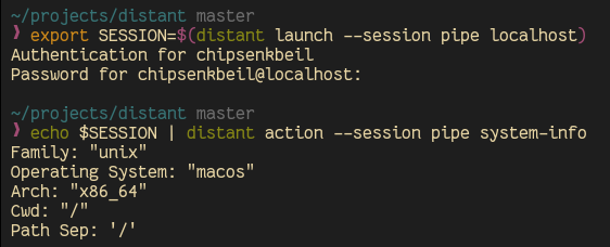 No such file or directory · Issue #92 · chipsenkbeil/distant · GitHub