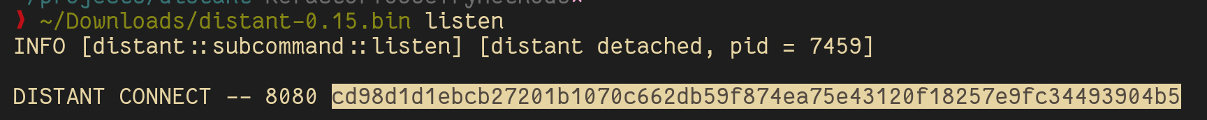 os error 111 when running DistantLaunch · Issue #72 · chipsenkbeil/distant.nvim · GitHub