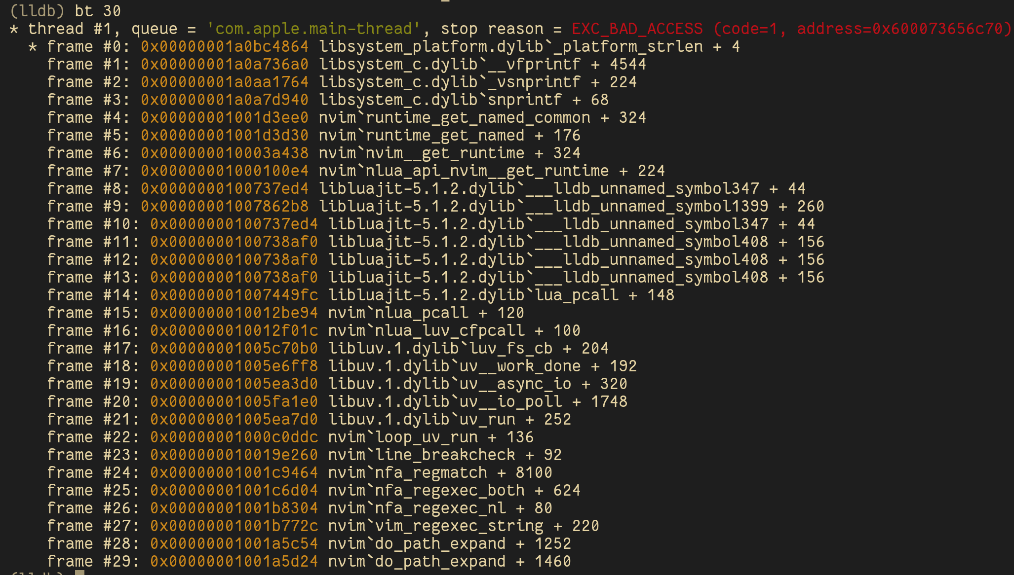 Segfault with recursive nvim__get_runtime · Issue #23012 · neovim/neovim · GitHub