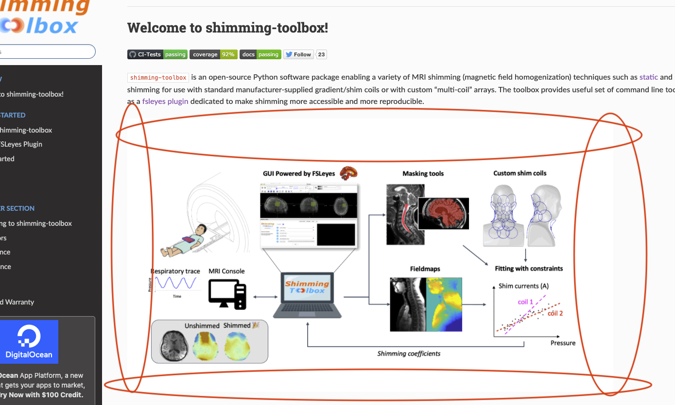Remove unecessary white space in figure · Issue #260 · shimming-toolbox ...