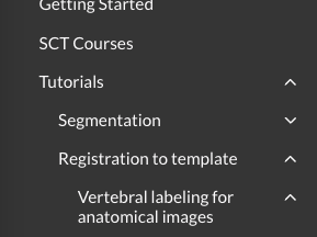 Tutorial: make vertebral labeling more visible · Issue #4236 · spinalcordtoolbox ...