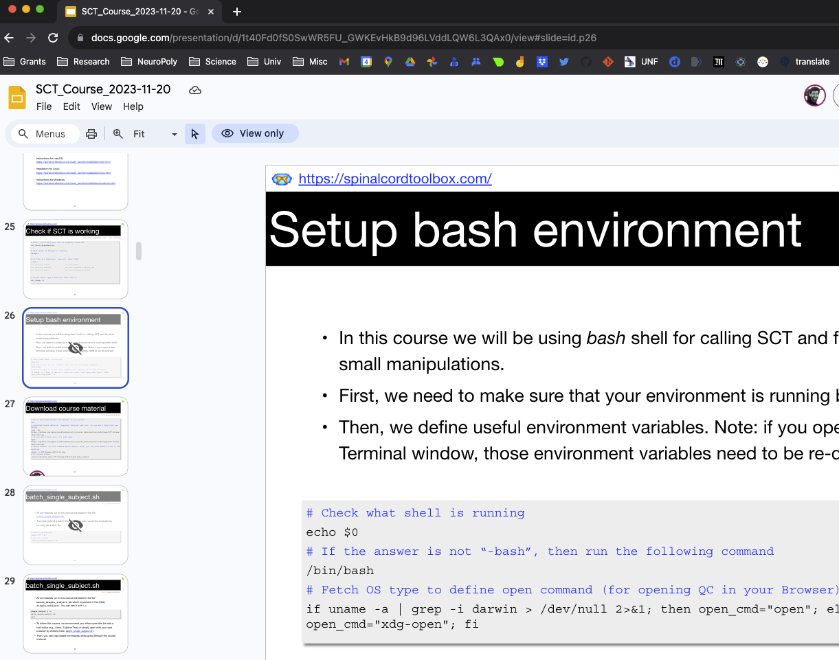 Hide 'hidden' slides from the google slides · Issue #4237 · spinalcordtoolbox/spinalcordtoolbox ...