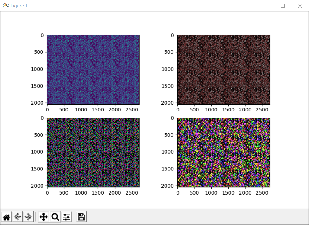 optimize the flow 2 label mask method · Issue #212 · MouseLand/cellpose · GitHub