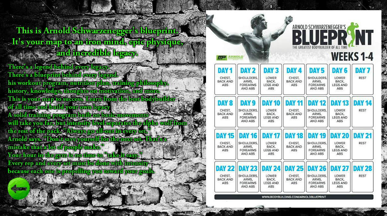 GitHub - vyvital/GymProject: Intruduction to C# , Agile project management, Design Patterns and ...