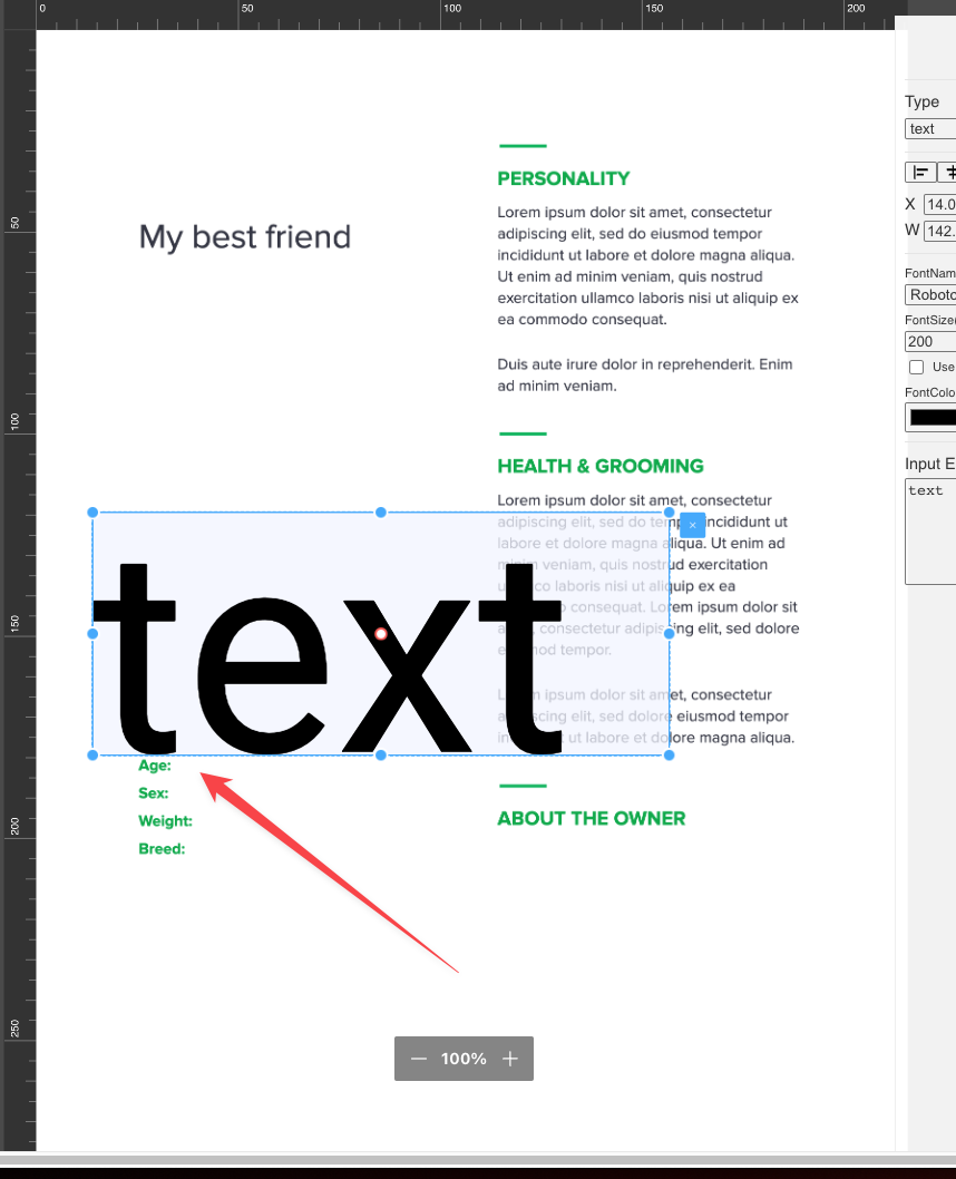 The Position Of The Text In The Designer S Preview And The Generated Pdf Is Different · Issue