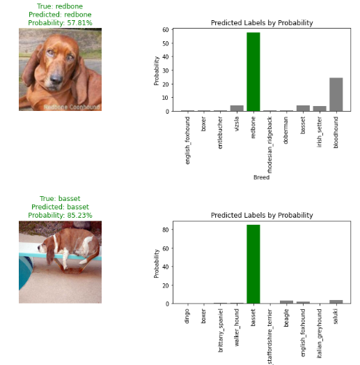 GitHub - jonotassia/dog-breed-classifier-tf: Jupyter notebook using TensorFlow to deduce breed ...