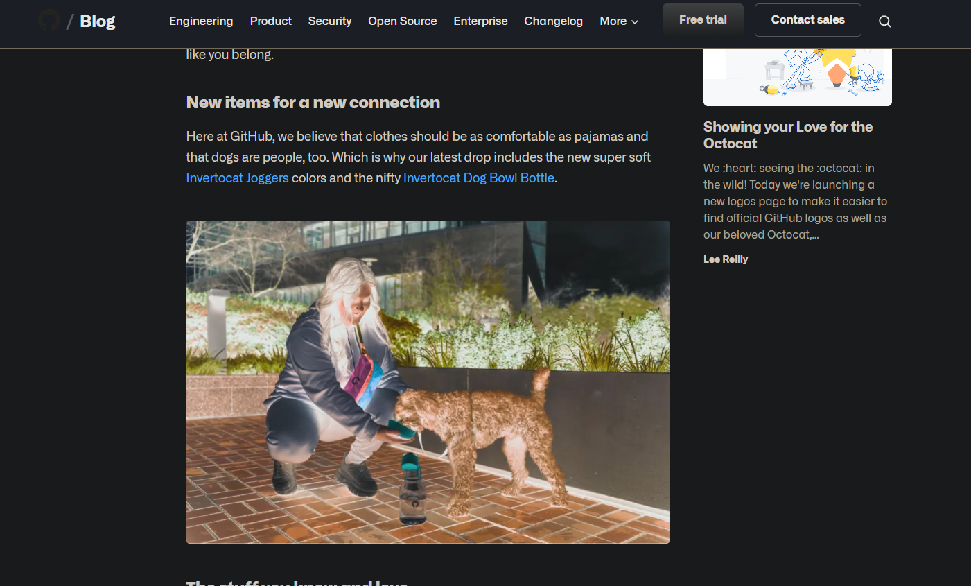 Broken Website Inverted Images On Github Blog · Issue 11164 · Darkreaderdarkreader · Github 