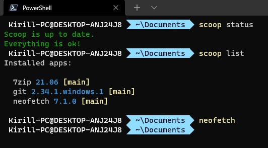 Nothing happens when you start Neofetch on Windows 11 Pro. · Issue #2009 · dylanaraps/neofetch ...