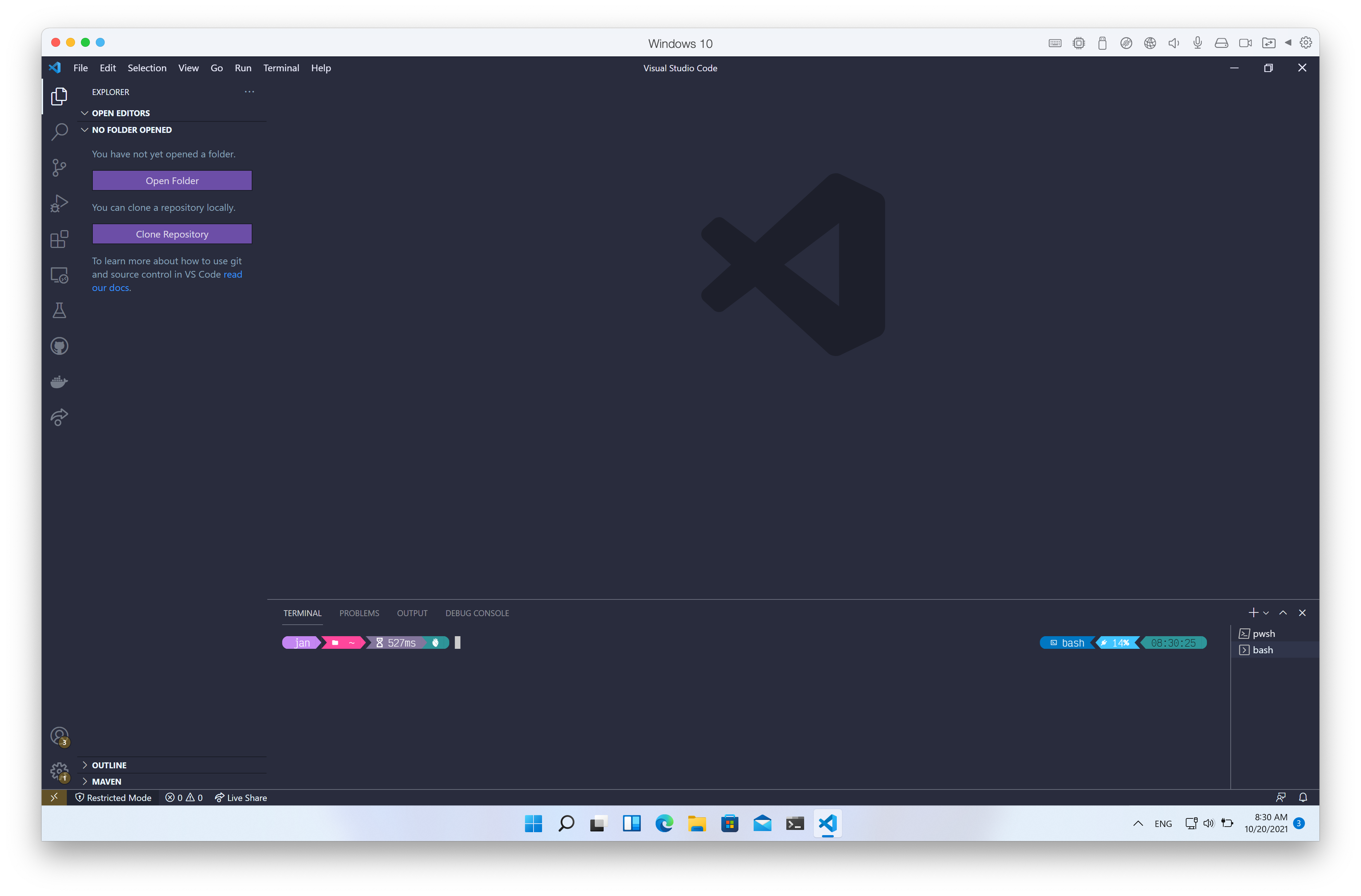 Visual bug on VS Code Terminal · Issue #1086 · JanDeDobbeleer/oh-my ...