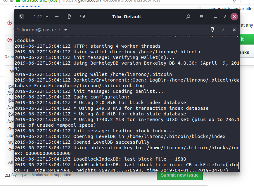 bitcoin.conf assumevalid=0 does not seem to be working · Issue #16268 · bitcoin/bitcoin · GitHub