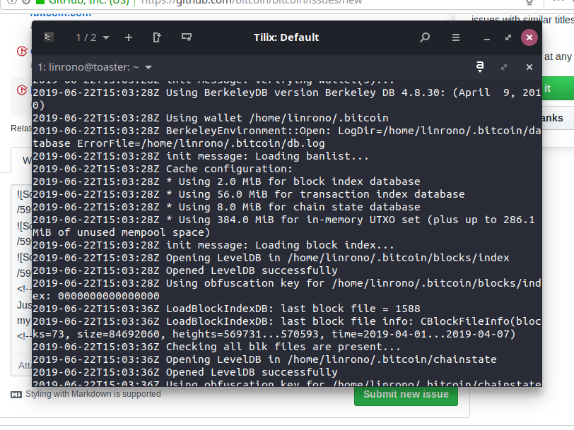 bitcoin.conf assumevalid=0 does not seem to be working · Issue #16268 · bitcoin/bitcoin · GitHub