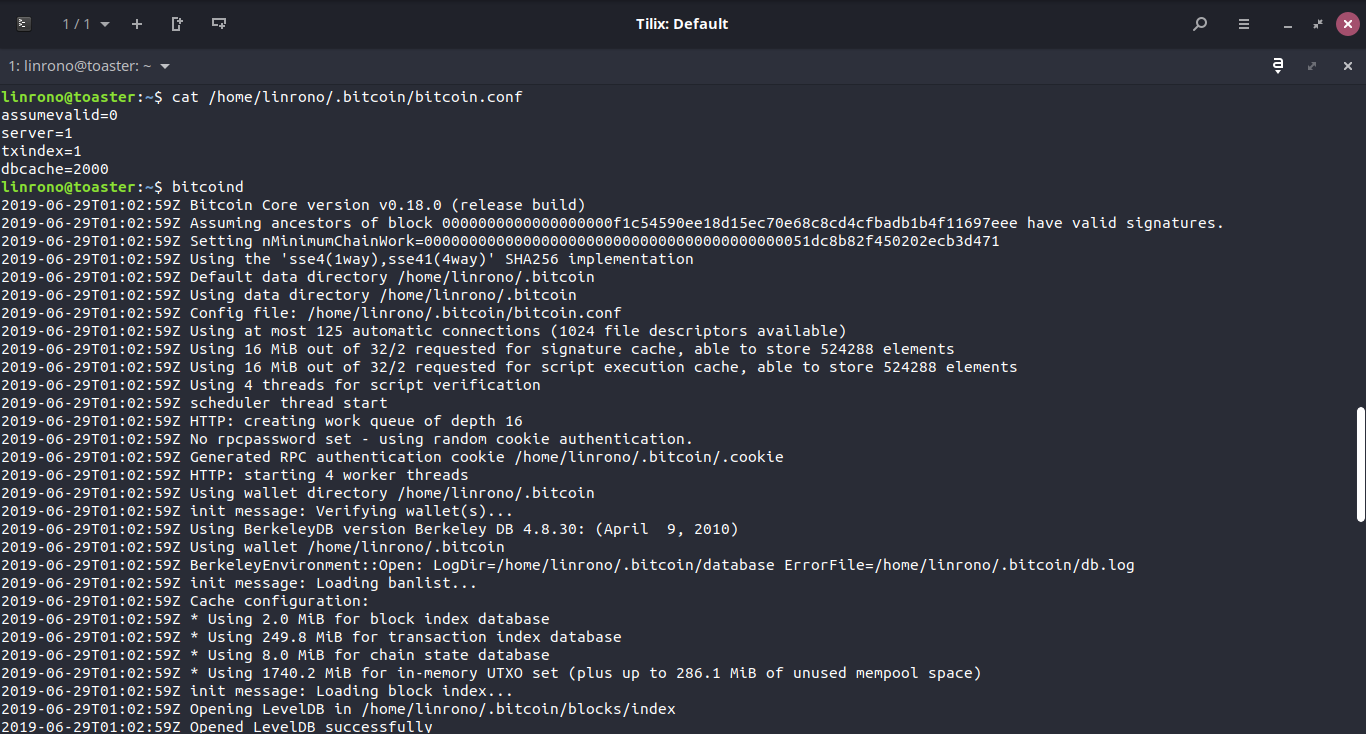 bitcoin.conf assumevalid=0 does not seem to be working · Issue #16268 · bitcoin/bitcoin · GitHub