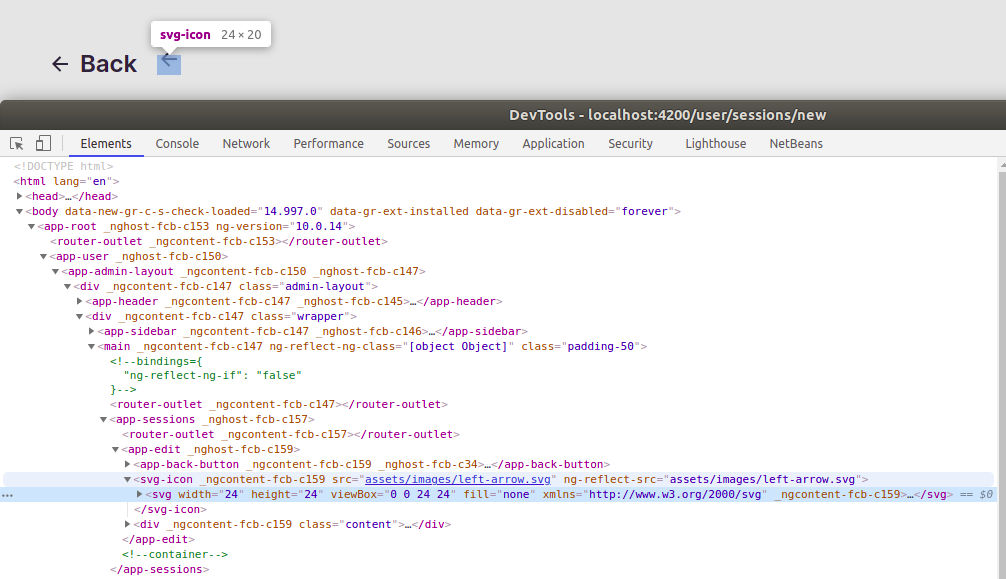 Component has extra height · Issue #124 · czeckd/angular-svg-icon · GitHub